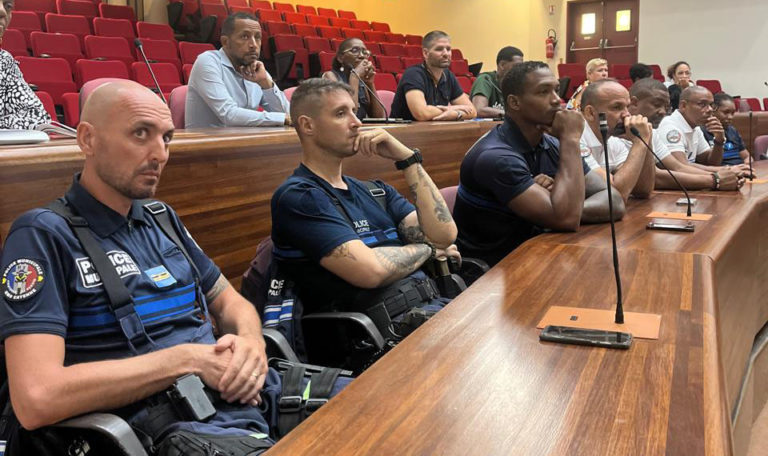 RESTITUTION DU STAGE DE FORMATION À MACAPA : UNE PREMIÈRE IMMERSION ...